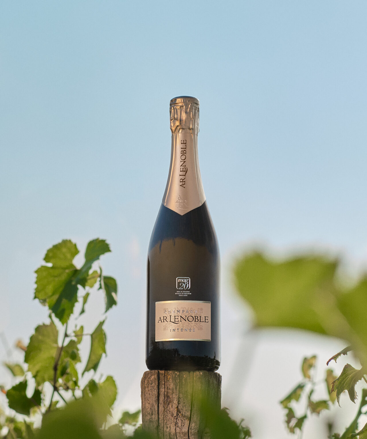 Maison LENOBLE, Grand Vin de champagne